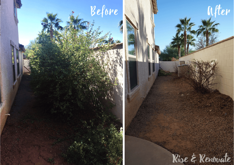 A Massive Backyard Haircut - Arizona Yard Work - Rise and Renovate