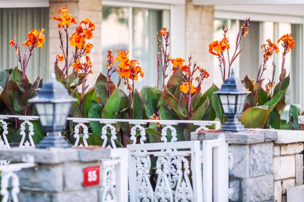 24 Balcony Privacy Ideas: Create a Secluded Sanctuary!