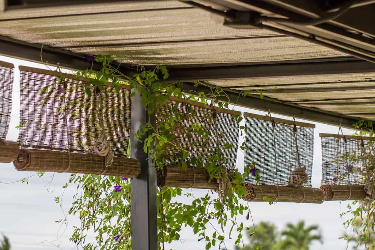 24 Balcony Privacy Ideas: Create a Secluded Sanctuary!