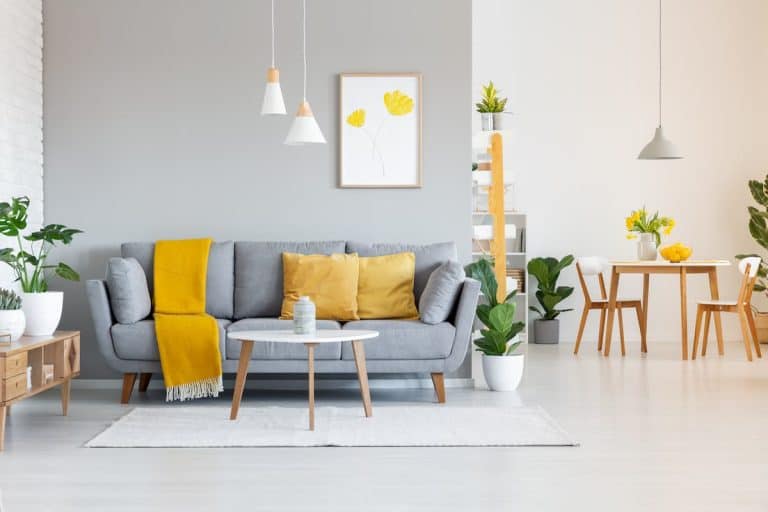 Green-Gray Paint Colors: 30 Picks To Revamp Any Room!