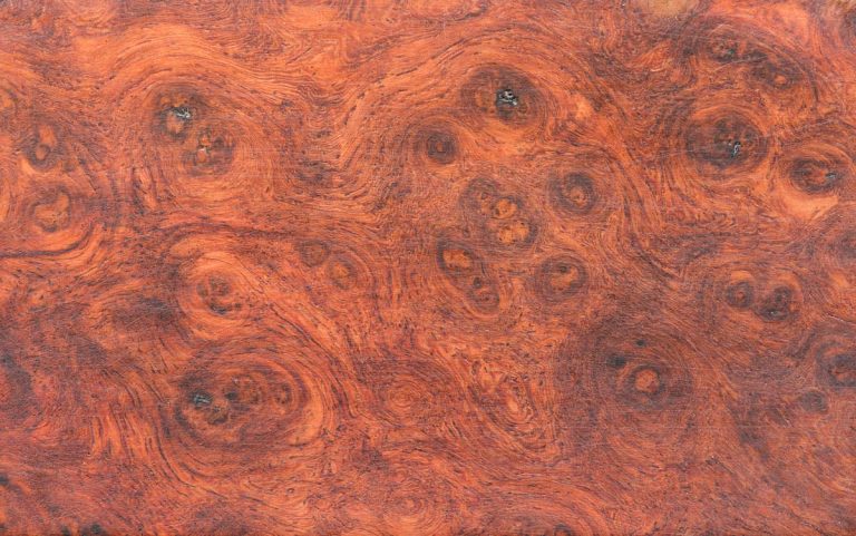 13 Most Expensive Woods and Their Unique Properties