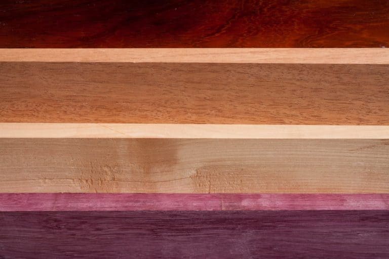 13 Most Expensive Woods and Their Unique Properties