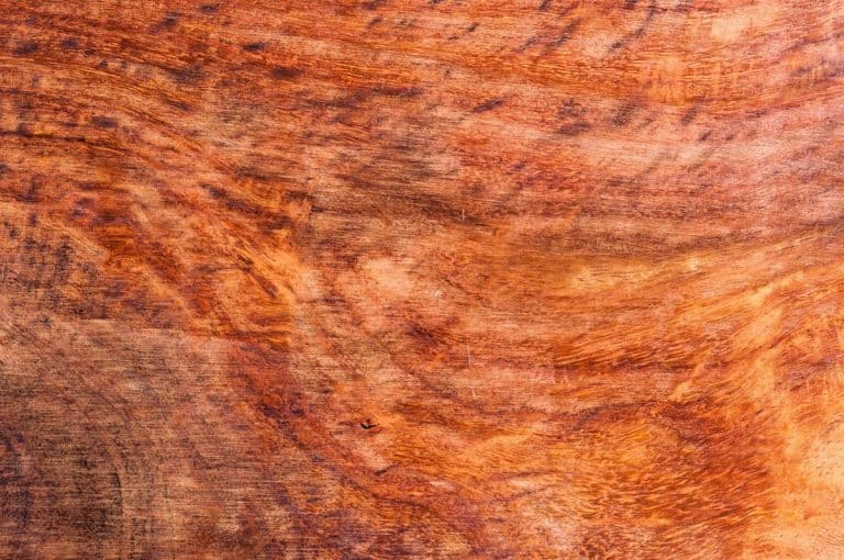 13 Most Expensive Woods and Their Unique Properties