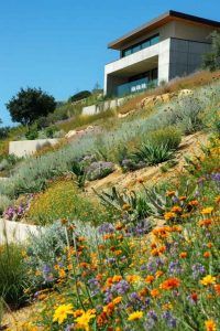 22 Hillside Garden Ideas To Maximize Your Sloped Yard’s Beauty