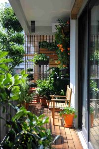30 Balcony Garden Ideas: From Bare Balcony to Green Oasis