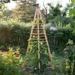 40 Unique Garden Trellis Ideas To Display Your Climbing Plants
