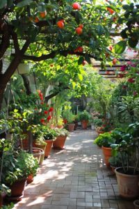 25 Terrace Garden Ideas To Transform Your Rooftop Space