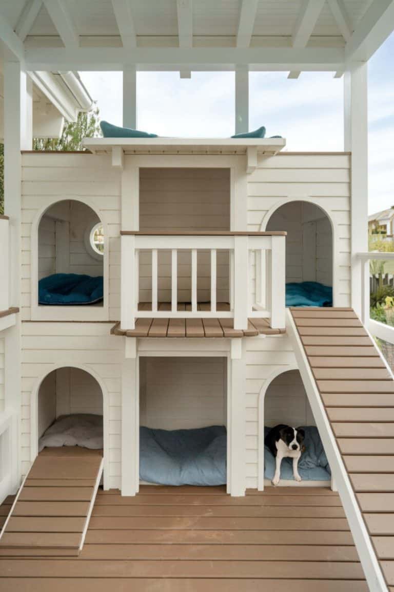 20 Dog-Friendly Backyard Ideas for a Safe and Fun Outdoor Space