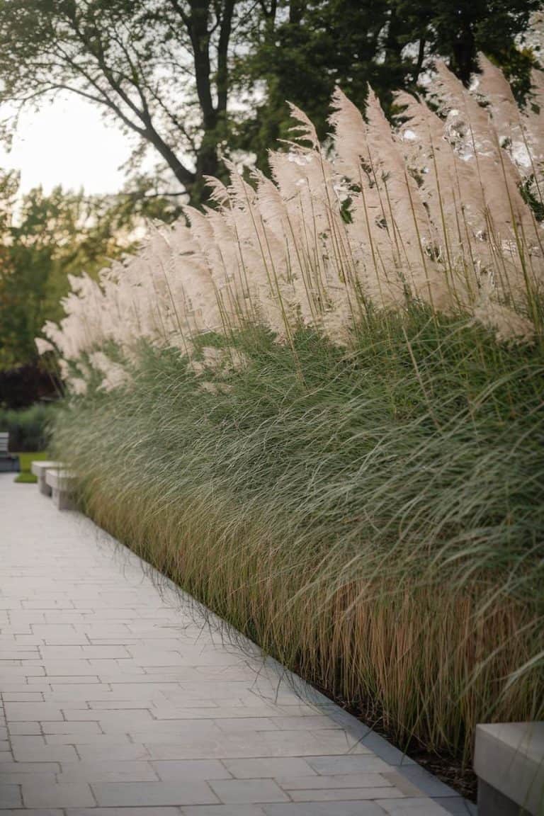 30 Creative Privacy Landscaping Ideas To Elevate Your Backyard