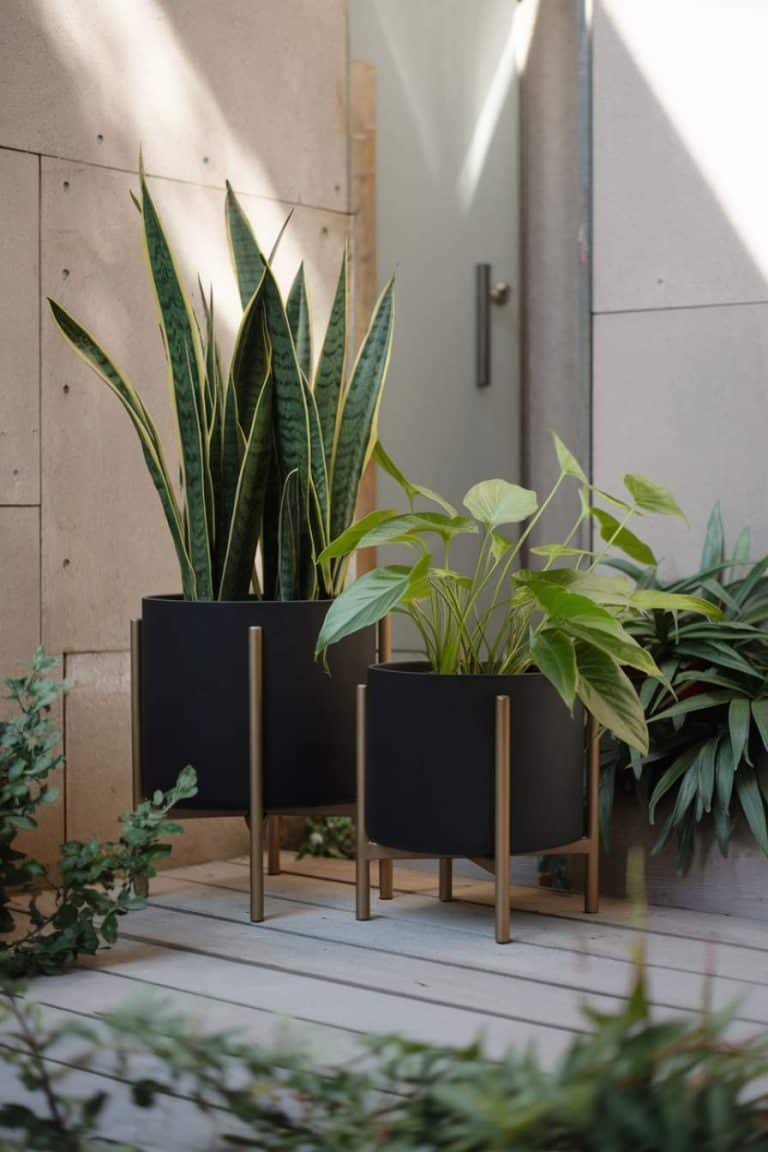 65 Creative Container Garden Ideas To Transform Any Space