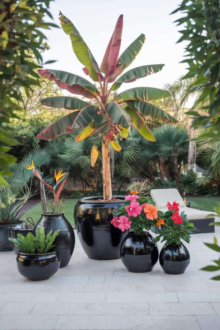 65 Creative Container Garden Ideas To Transform Any Space