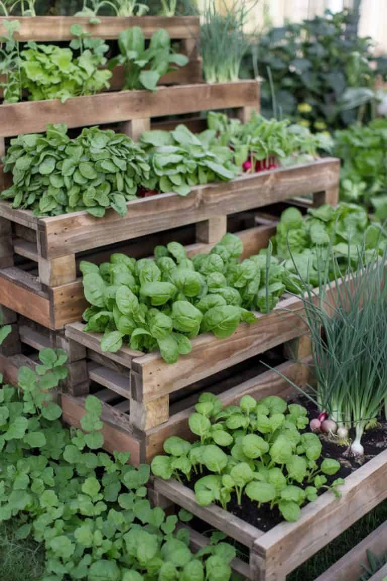 30 Inspiring Pallet Garden Ideas for Any Outdoor Space